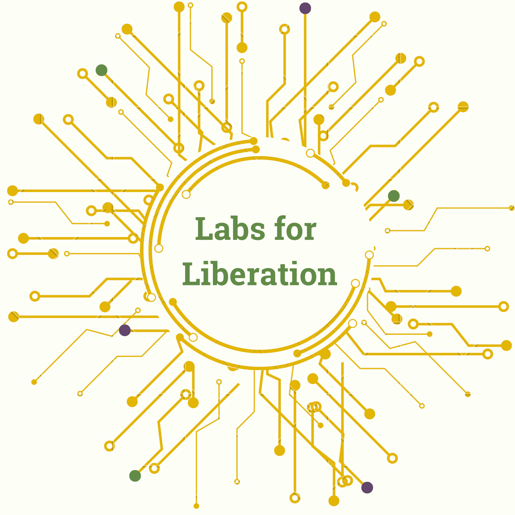 About – Labs for Liberation